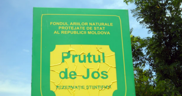 The Government has Approved the Regulations for the Operation of the ...