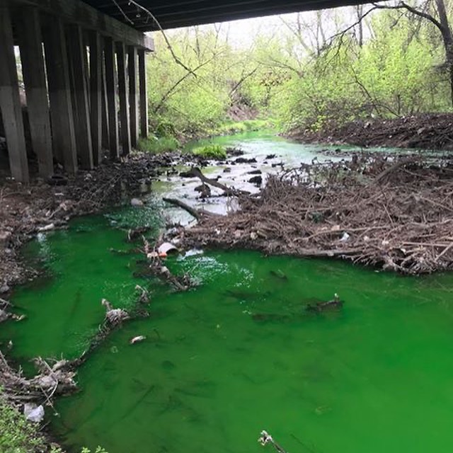 FOTO/Râul Bâc s-a colorat în verde aprins. Agenția de Mediu anunță că a ...