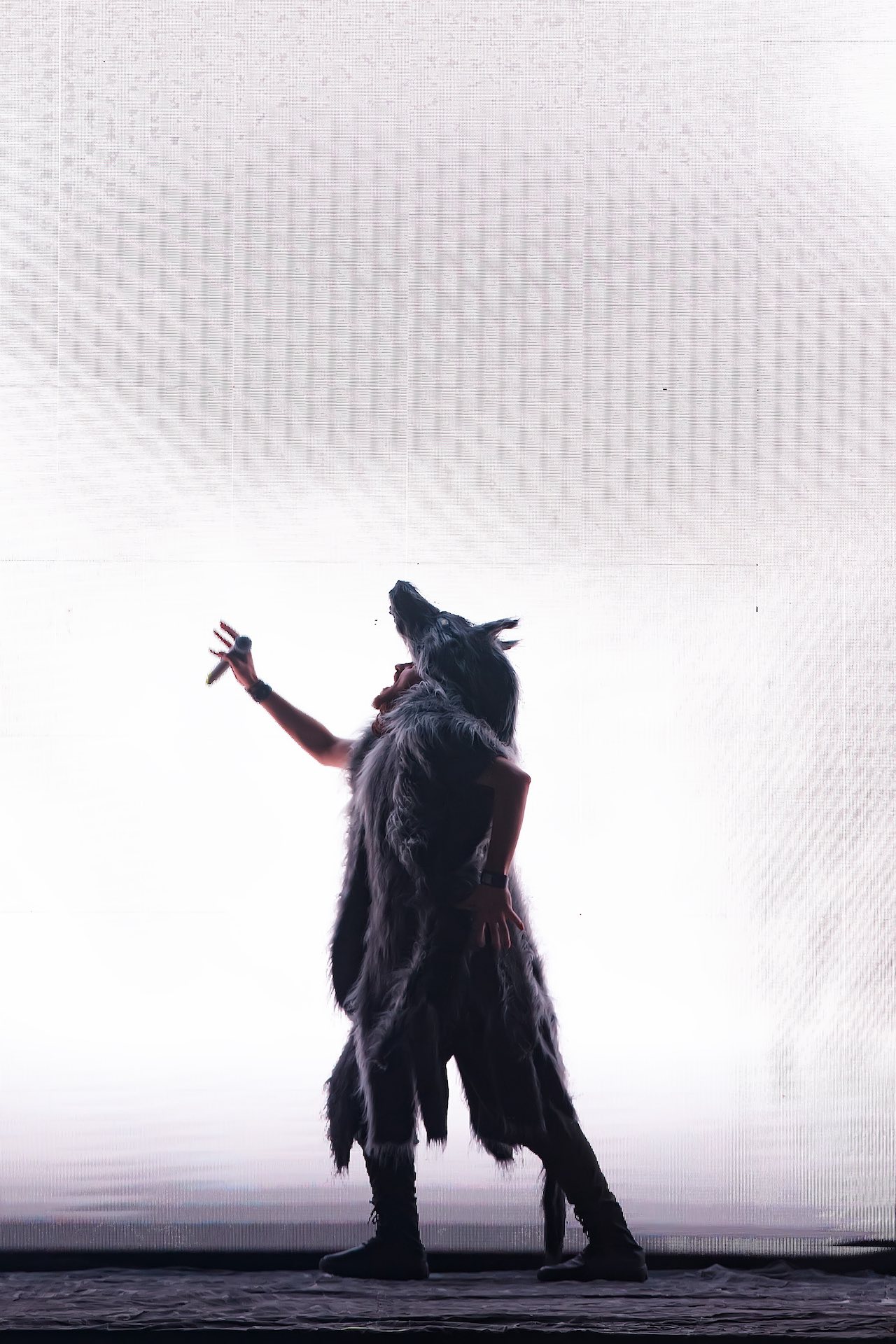 FOTO/ Cum a fost la POVESTEA DE IARNĂ cântată la Palatul Național de ...