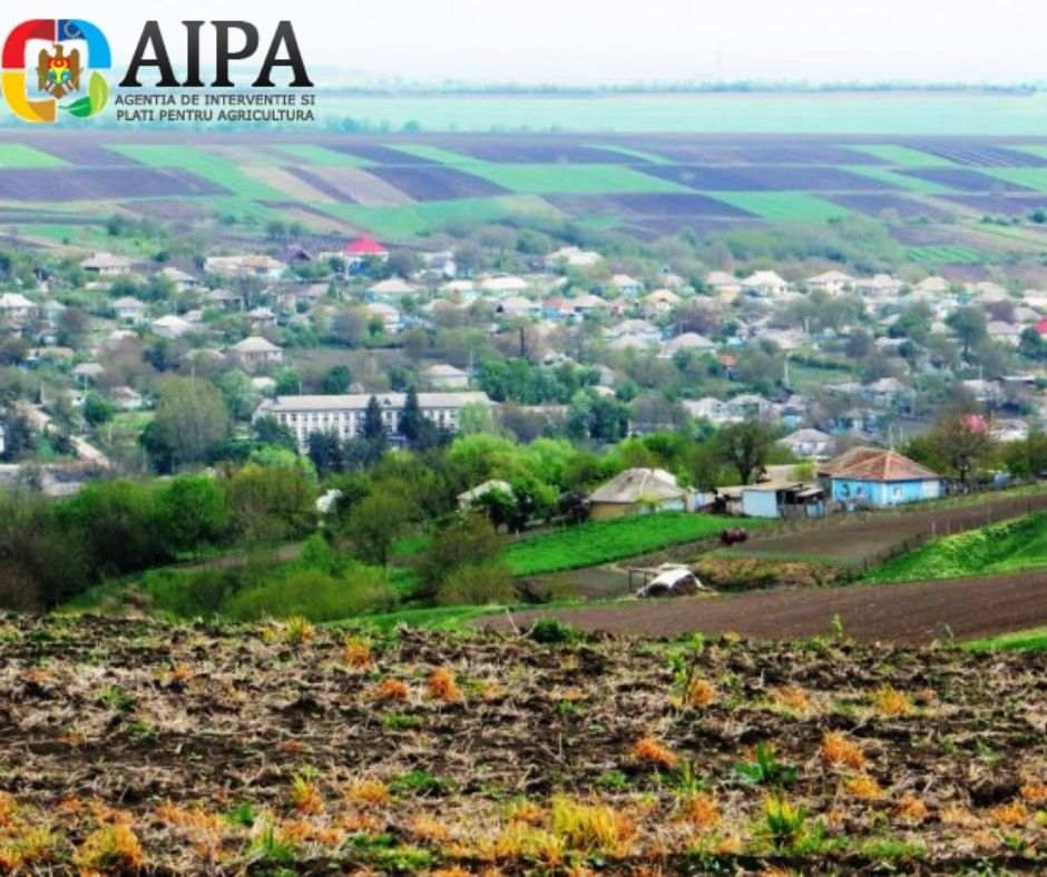 AIPA realizează implementarea treptată a depunerii online a pachetelor ...