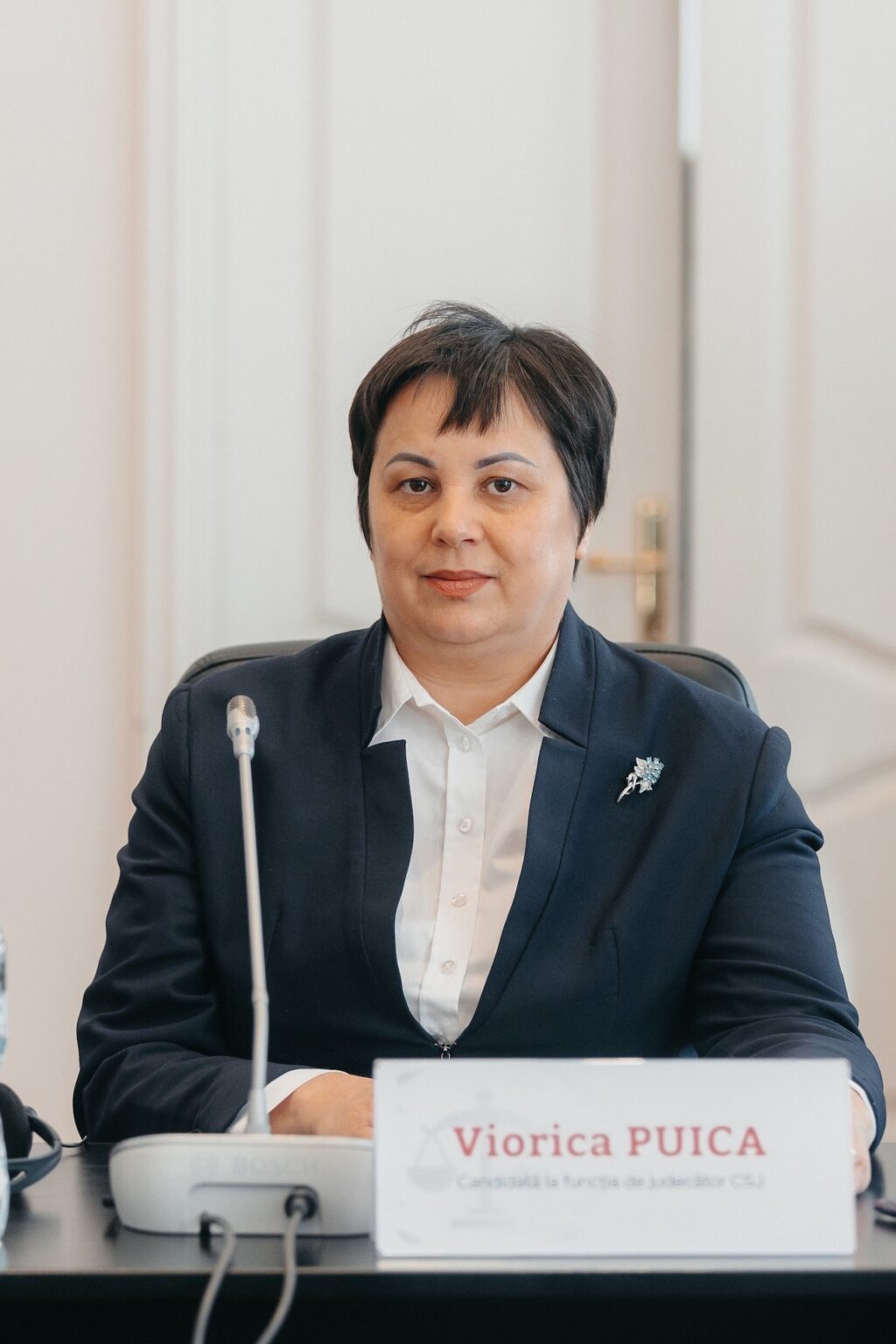 Cine sunt candidații la funcția de judecător al CSJ care au promovat ...